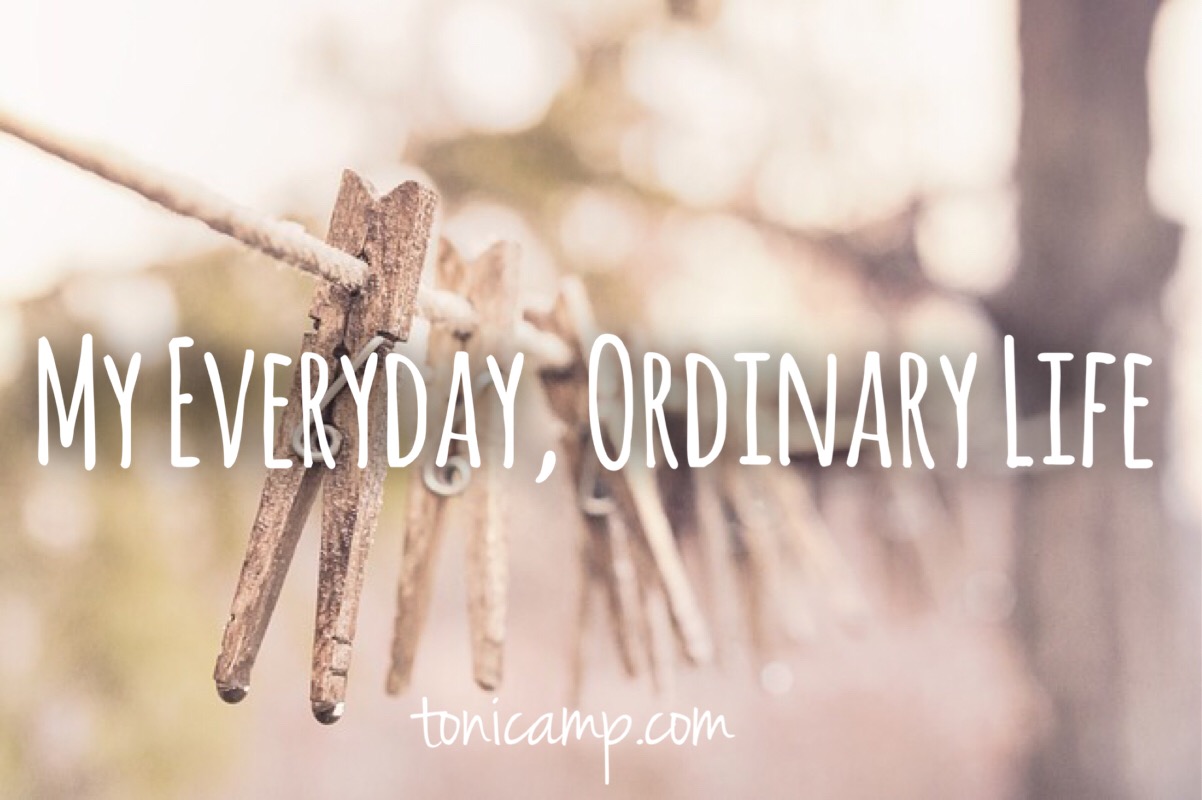 My Everyday, Ordinary Life – Toni Camp Art